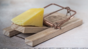 Culture Shift – How to Overcome the Transaction Trap – Tom Richert