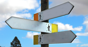 How To Energize Decisionmaking: A Framework For Project Success – Tom ...